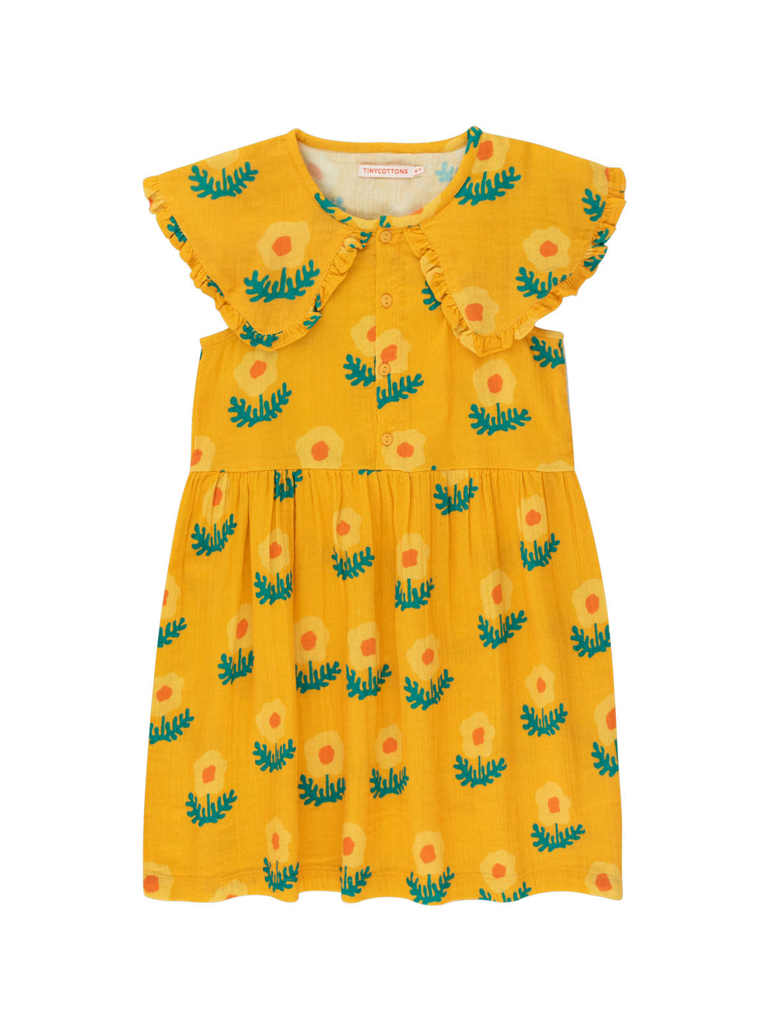 Kid's Sale – Luna & Curious